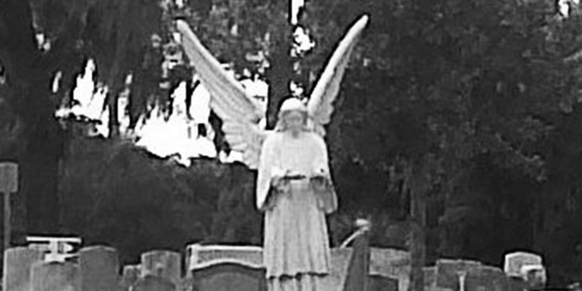 Spooky Florida: Urban legends, myths, haunted places across the state